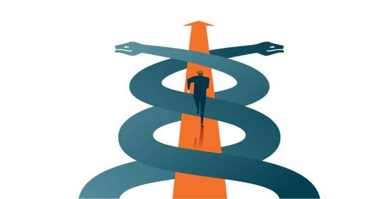 Custom Software Development Solutions | SenecaGlobal